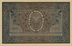 钞票: 5,000 Marek (波兰(1918-1924 Second Republic - Polish marka) Wor:P-31c 💴