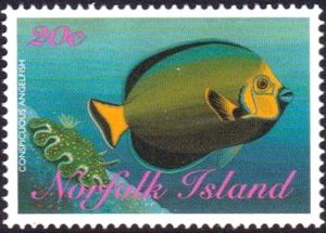 Stamp: Conspicuous Angelfish (Chaetodontoplus conspicillatus) (Norfolk ...
