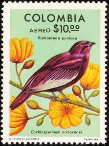 Stamp: Pompadour Cotinga (Xipholena punicea), Tefé Rose (Cochlosper ...