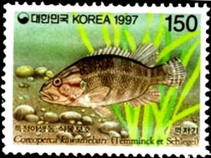 Stamp: Aucha Perch (Coreoperca kawamebari) (Korea, South) (Protection ...