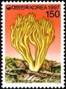 Stamp: Ramaria flava (Korea, South(Mushrooms (1997)) Mi:KR 1935,Sn:KR ...
