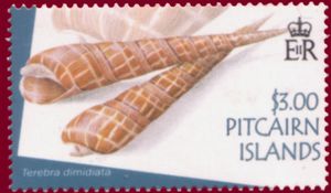 Stamp: Orange Auger (Terebra dimidiata) (Pitcairn Islands(Shells) Mi:PN ...