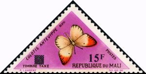 Stamp: Red Tip (Colotis antevippe) (Mali(Butterflies (1984)) Mi:ML P25 ...