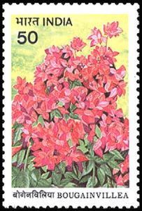 Stamp: Bougainvillea "Mahara" (India(Bougainvillea) Mi:IN 1022,Sn:IN ...