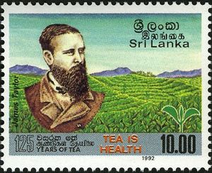 Tea (and SL Nation) victimised by politicians | ThinkWorth