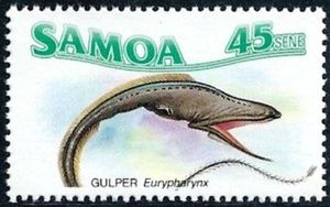 Stamp: Gulper Eel (Eurypharynx pelecanoides) (Samoa(Marine Life) Mi:WS ...