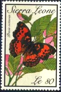 切手: Gaudy Commodore (Precis octavia) (シエラレオネ(Butterflies (1989)) Mi:SL ...