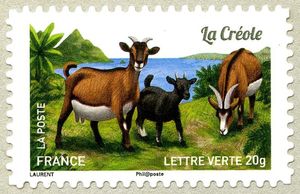 Timbre: Creole Goat (Capra aegagrus hircus) (France(Goats of our ...
