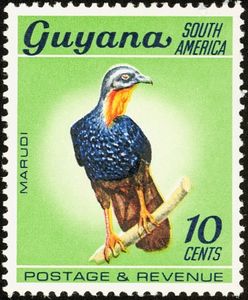 Stamp: Marudi or Spix's Guan (Penelope jacquacu) (Guyana(Birds (1969 ...