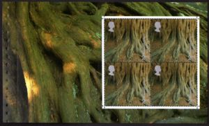 Stamp: Tree Roots ("Yews for the Millennium" Project) (United Kingdom ...