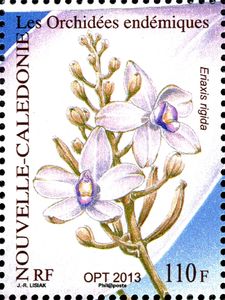 Stamp: Eriaxis rigida (New Caledonia(Endemic Orchids) Mi:NC 1629,Yt:NC ...