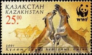 Stamp: Turkmen Kulan (Equus hemionus kulan), Fighting (Kazakhstan ...