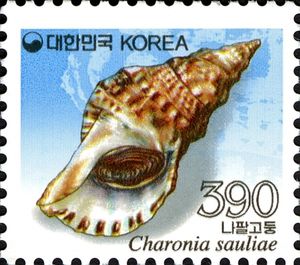 Stamp: Predatory Sea Snail (Charonia sauliae) (Korea, SouthMi:KR 2961,Sn:KR 2188,Yt:KR 2744,Sg ...