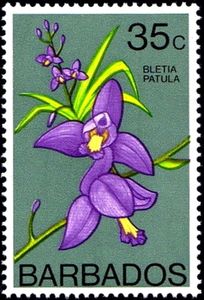 Stamp: Bletia patula (Barbados(Orchid Definitives) Mi:BB 375Xs,Sn:BB ...