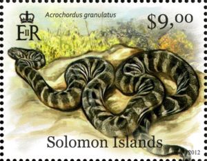 Stamp: Little Wart Snake (Acrochordus granulatus) (Solomon Islands ...