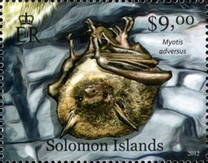Stamp: Maluku Myotis (Myotis adversus) (Solomon Islands(Bats of Solomon ...