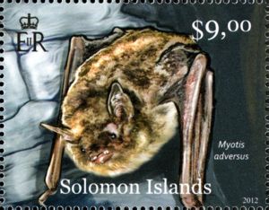 Stamp: Maluku Myotis (Myotis adversus) (Solomon Islands(Bats of Solomon ...