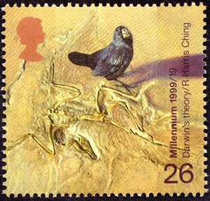 Stamp: Galapagos Finch, Fossilized Skeleton perf 14½ x 14 (United ...