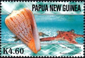 Stamp: Surat Cone (Conus suratensis) (Papua New Guinea(Sea Shells) Mi ...