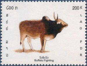 Stamp: Buffalo (Bos primigenius indicus) (Laos(Buffalo Fighting) Mi:LA ...