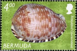 Stamp: Reticulated Cowrie Helmet (Cypraecassis testiculus) (Bermuda ...