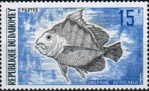 Stamp: African Sicklefish (Drepane africana) (Dahomey(Fish (1973)) Mi ...