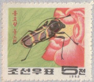 Stamp: Longhorn Beetle (Cyrtoclytus capra) (Korea, North(Beetles) Mi:KP ...