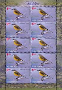 Stamp: Western Yellow Wagtail (Motacilla flava) (Moldova(Fauna of ...