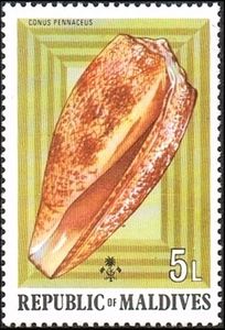 Stamp: Feathered Cone (Conus pennaceus) (Maldives(Sea Shells and ...