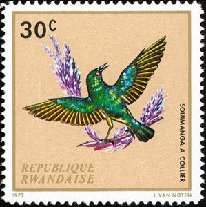 Stamp: Collared Sunbird (Hedydipna collaris) (Rwanda(Native Birds) Mi ...