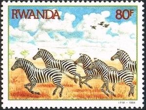 Stamp: Plains Zebra (Equus burchelli) (Rwanda(Zebras and Buffalos) Mi ...