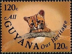 Stamp: Ocelot (Leopardus pardalis) (Guyana(Guyana - Our Heritage) Mi:GY ...
