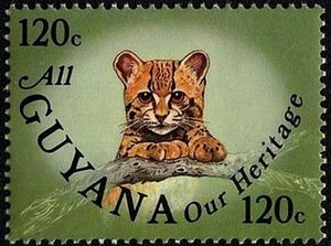 Stamp: Ocelot (Leopardus pardalis) (Guyana) (Guyana - Our Heritage) Mi ...