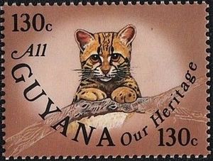Stamp: Ocelot (Leopardus pardalis) (Guyana(Guyana - Our Heritage) Mi:GY ...