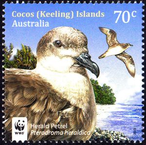 Stamp: Herald Petrel (Pterodroma heraldica) (Cocos (Keeling) Islands ...