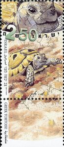 Stamp: Greek Tortoise (Testudo hermanni) (Israel(Endangered Species) Mi ...