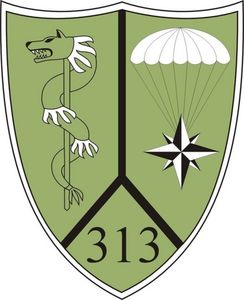 Decoration: The 313th Reconnaissance Battalion "BUREBISTA" (Romania ...