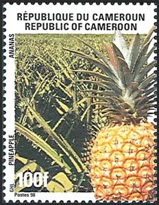 Stamp: Pineapple (Ananas comosus) (Cameroon(Flora & Fauna) Mi:CM 1226 ...