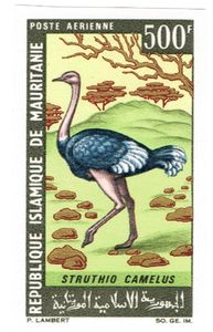Stamp: Ostrich (Struthio camelus) (Mauritania(Birds) Mi:MR 306U,Yt:MR PA66i