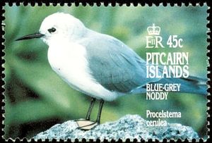 Stamp: Blue-grey Noddy (Procelsterna cerulea) (Pitcairn Islands(Birds ...