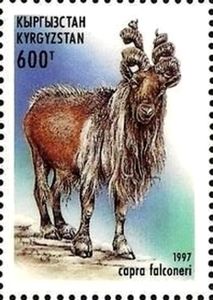 Stamp: Markhor (Capra falconeri) (Kyrgyzstan(Fauna of Kyrgyzstan (1997 ...