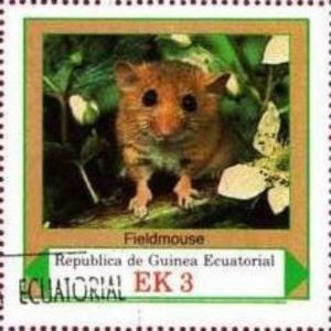 Stamp: Field Mouse (Apodemus sp.) (Cinderellas) (Equatorial Guinea) Col ...