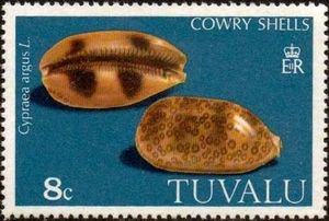 Stamp: Eyed Cowrie (Cypraea argus) (Tuvalu(Cowry Shells) Mi:TV 116,Sn ...