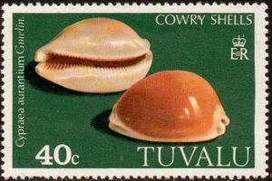 Stamp: Golden Cowry (Cypraea aurantium) (Tuvalu(Cowry Shells) Mi:TV 119 ...
