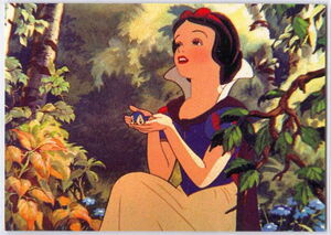 Game Card: Into The Forest (Disney(Snow White and the Seven Dwarfs ...