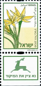 Stamp: Goldstern (Gagea commutata) (Israel(Flower Definitives) Mi:IL ...