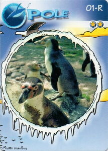 Game Card: Pinguďn (Jetix 3D Jungle Cards(Jetix 3D Jungle Cards) Col ...