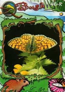 Cartas de Jogar: Vlinder (Jetix 3D Jungle Cards(Jetix 3D Jungle Cards ...