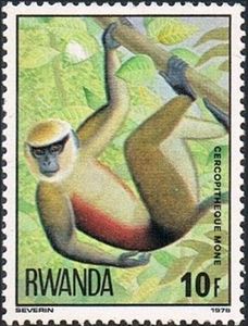 Briefmarke: Dent's Monkey (Cercopithecus mone) (Ruanda(Monkeys) Mi:RW ...