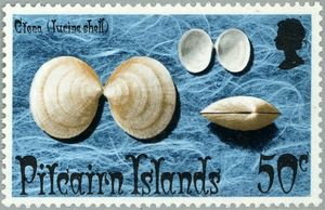 Stamp: Lucine Shell (Ctena sp.) (Pitcairn Islands(Sea Shells) Mi:PN 140 ...